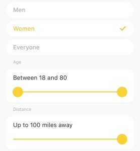 How to Find Someone on Bumble (Free & Easy Methods) - SwindlerBuster