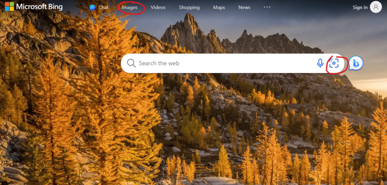 Reverse Image Search to Verify Matches on Tinder, Hinge, and Bumble ...