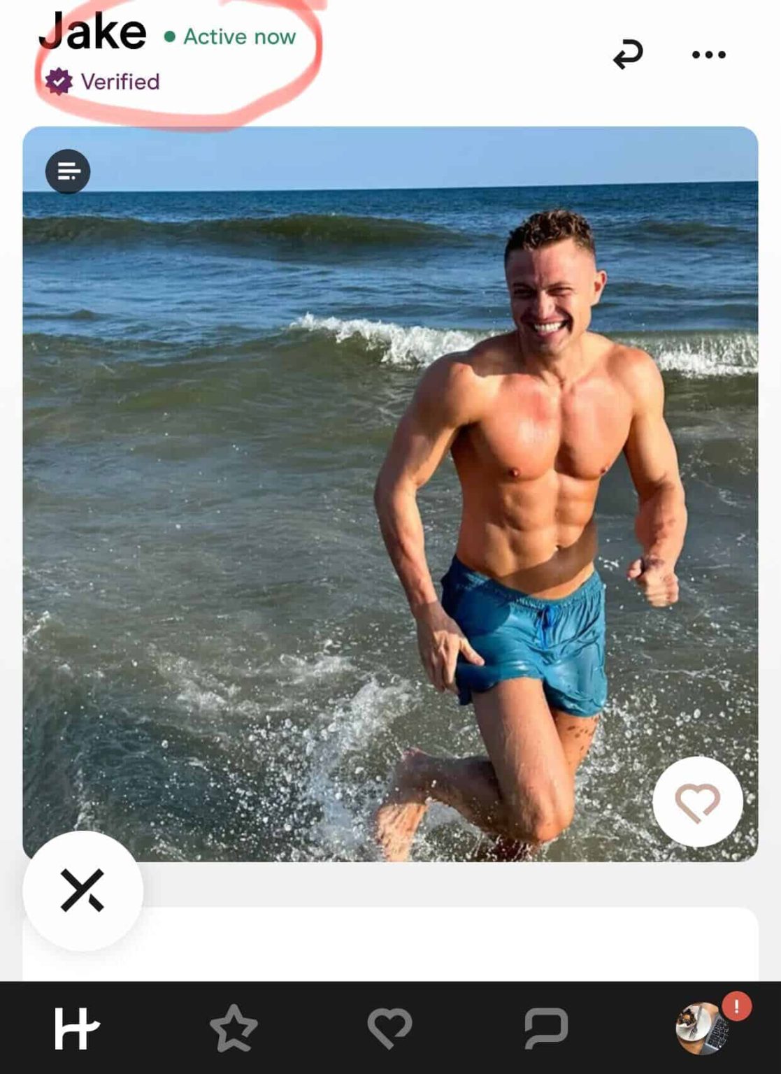 8 ways to tell if someone has an Active Hinge Account - SwindlerBuster